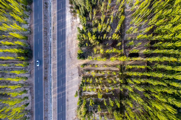 Xinjiang's Aksu has achieved a green transformation in the past three ...